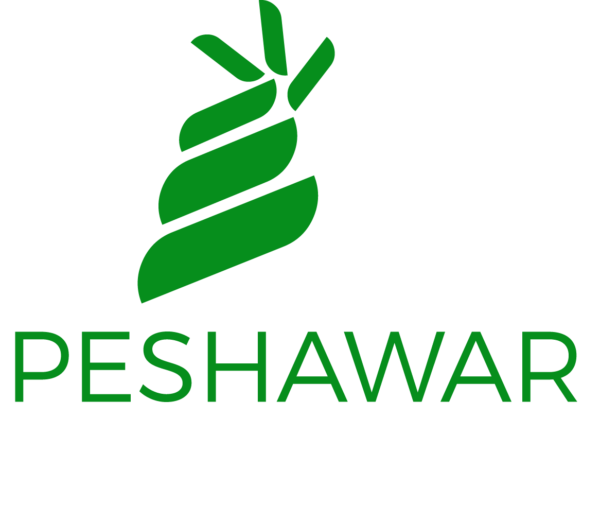 Peshawar International Airport Logo | Assam Artist